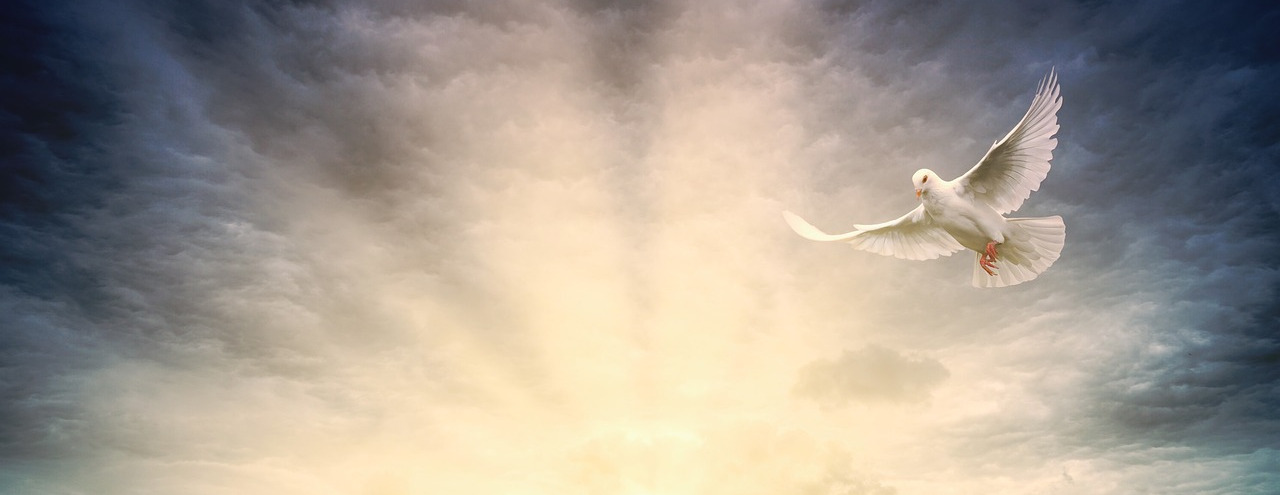 11 Symbols of The Holy Spirit: Unveiling Their Meaning